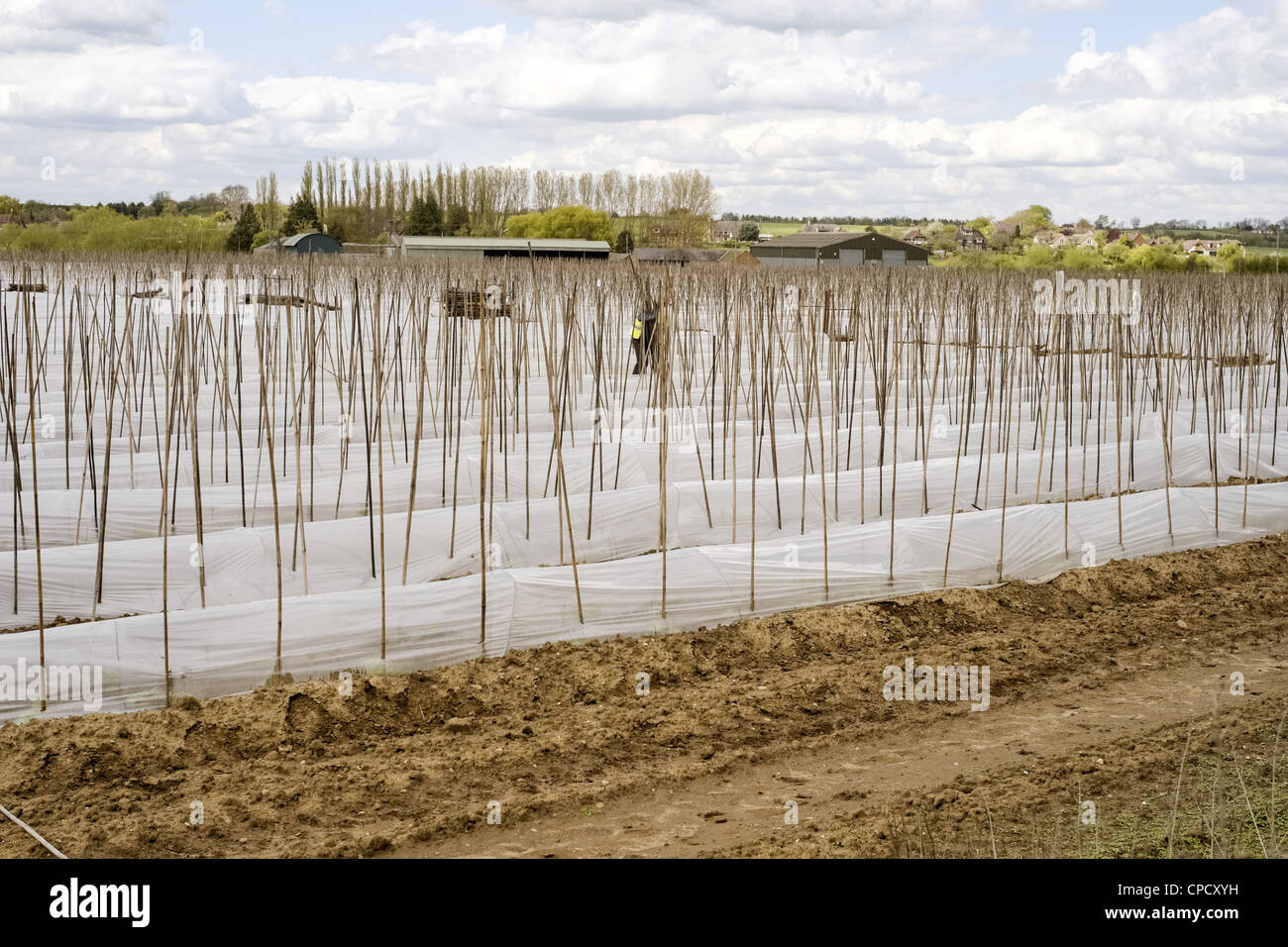 construction in a field Stock Photo - Alamy
