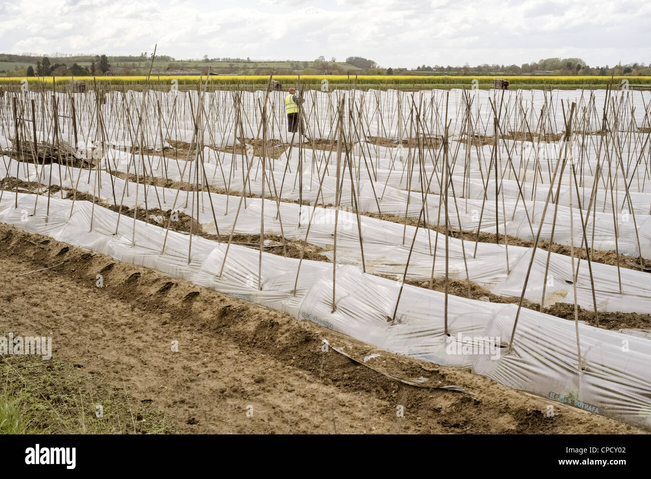 construction in a field Stock Photo - Alamy