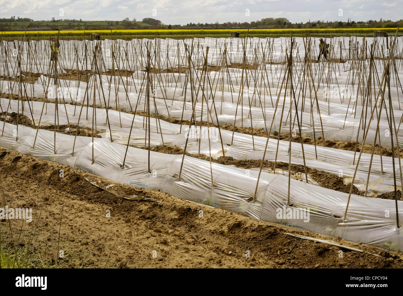 construction in a field Stock Photo - Alamy