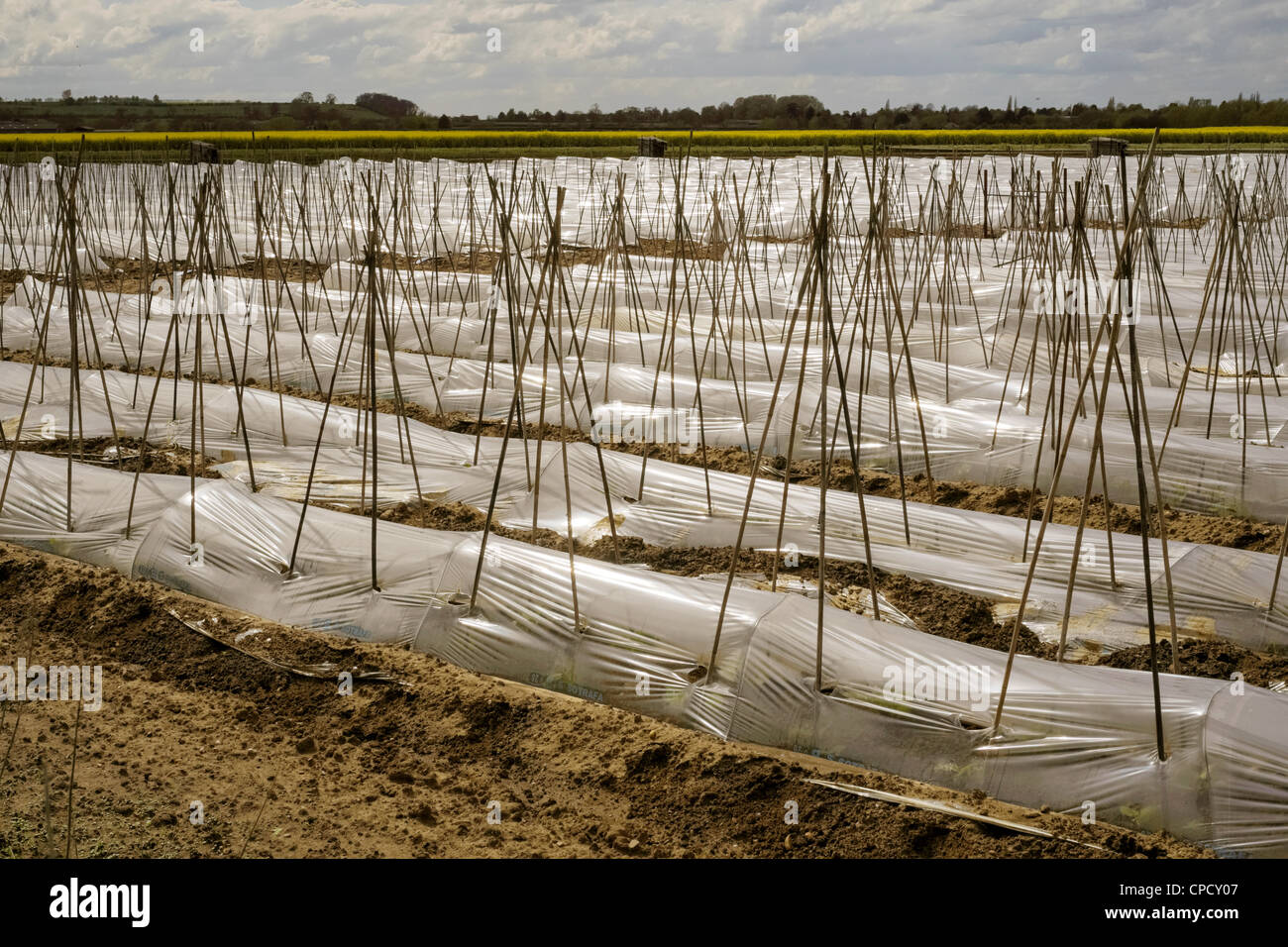 construction in a field Stock Photo - Alamy