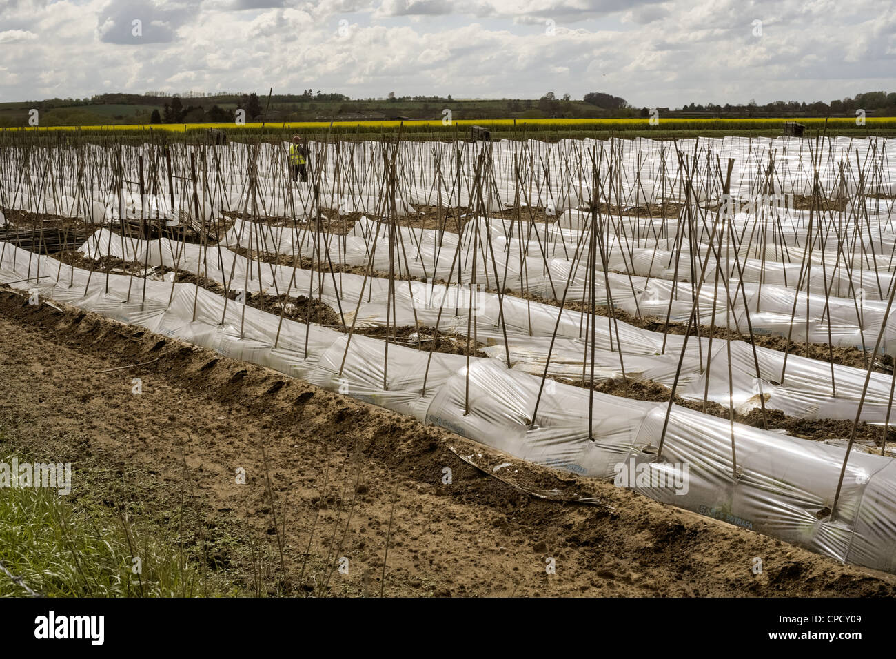construction in a field Stock Photo - Alamy