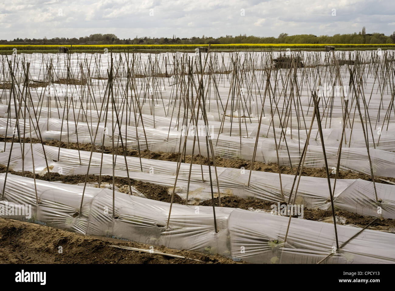 construction in a field Stock Photo - Alamy