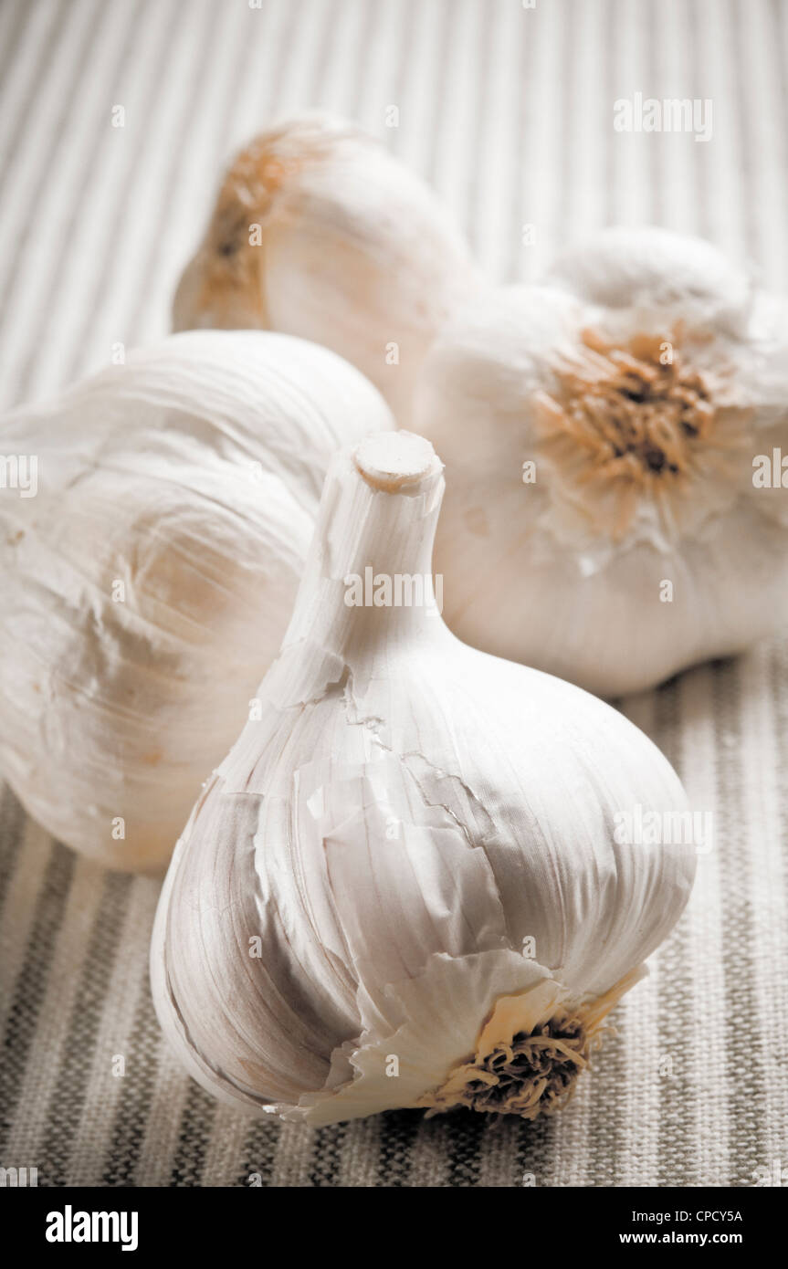 Taste bulbs hi-res stock photography and images - Alamy