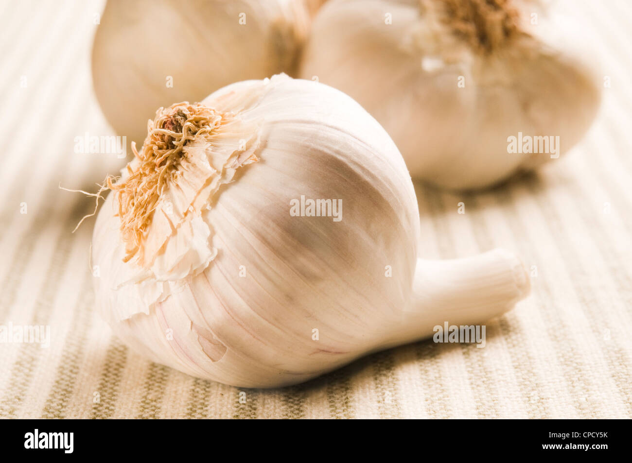Taste bulbs hi-res stock photography and images - Alamy