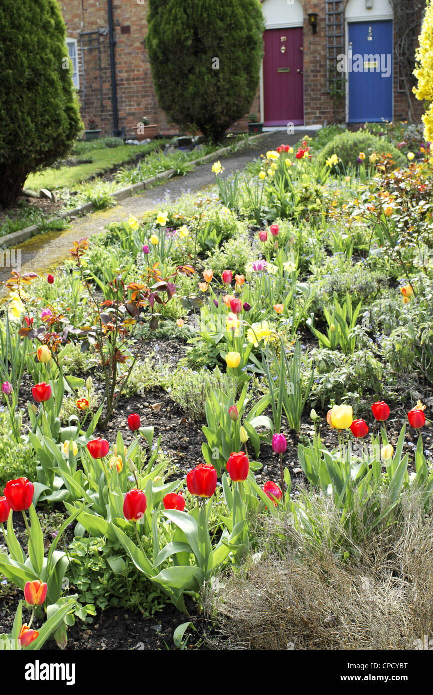 flowers growing in garden Stock Photo - Alamy