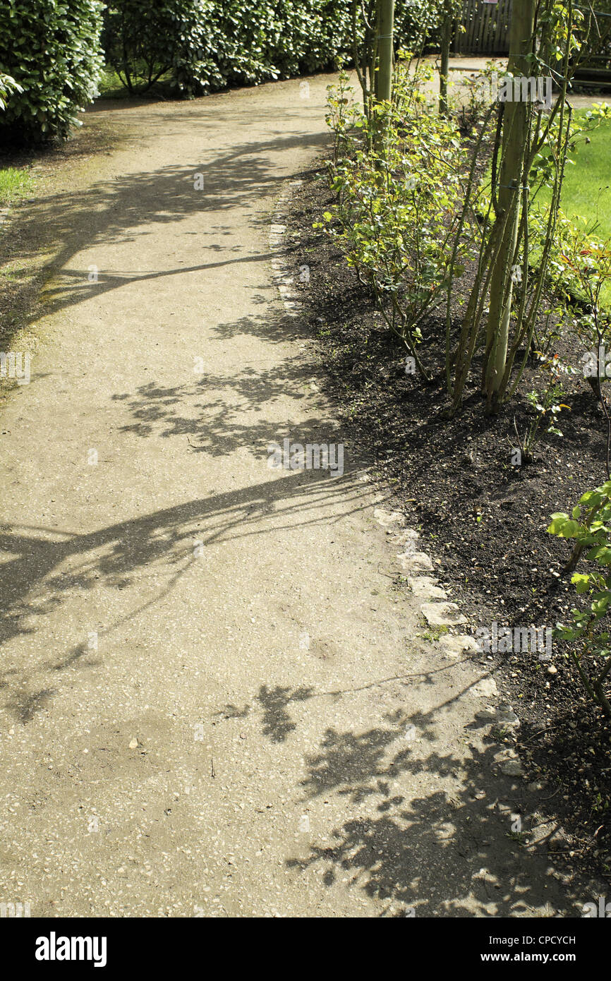 foot path with sun Stock Photo - Alamy