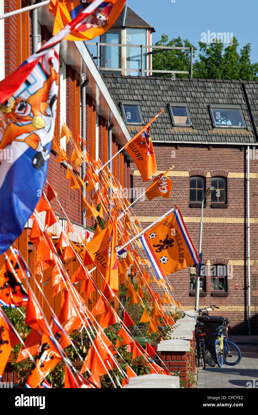 Netherlands Football Flag