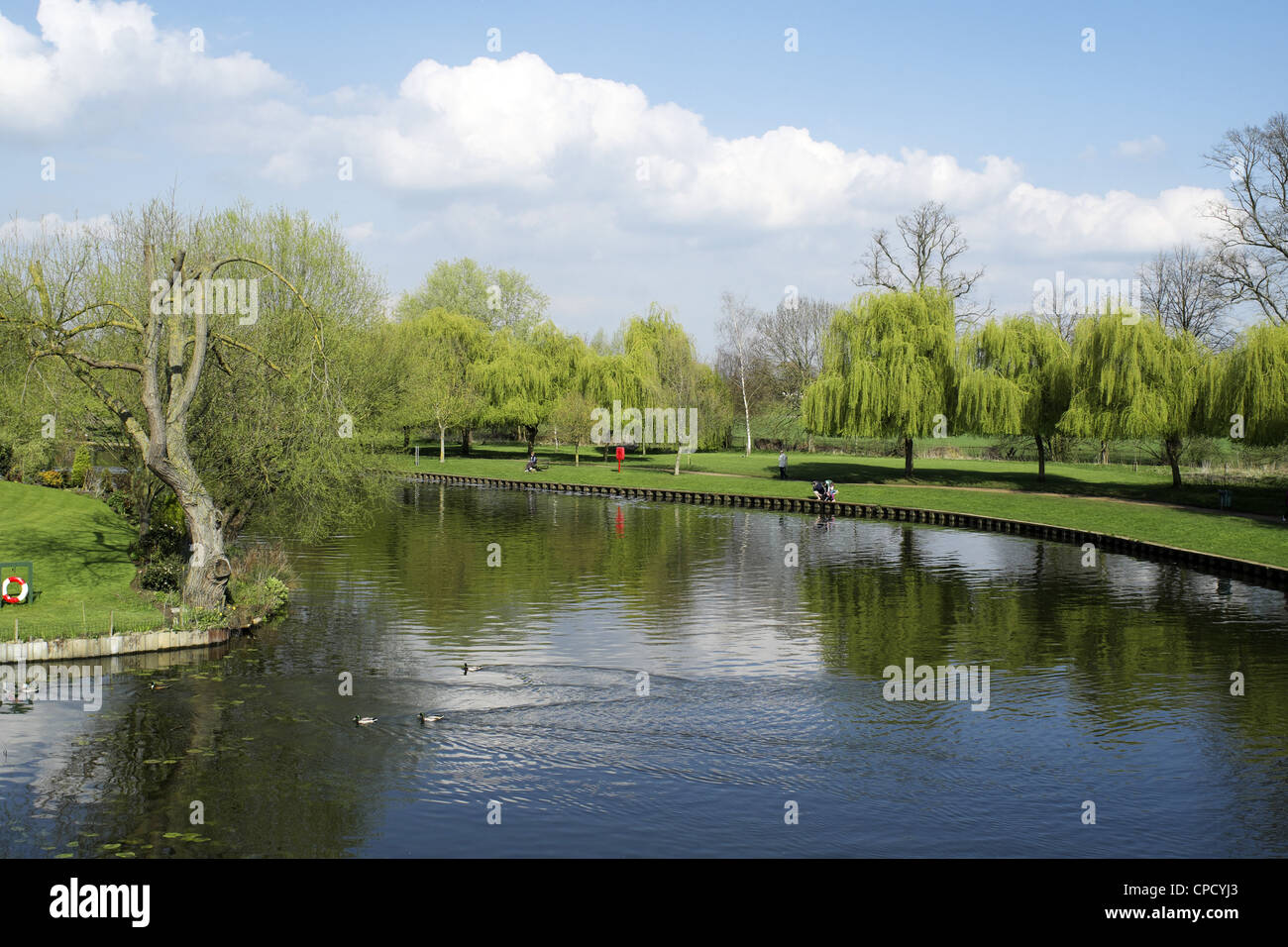 river avon; stratford upon avon; warwickshire Stock Photo - Alamy