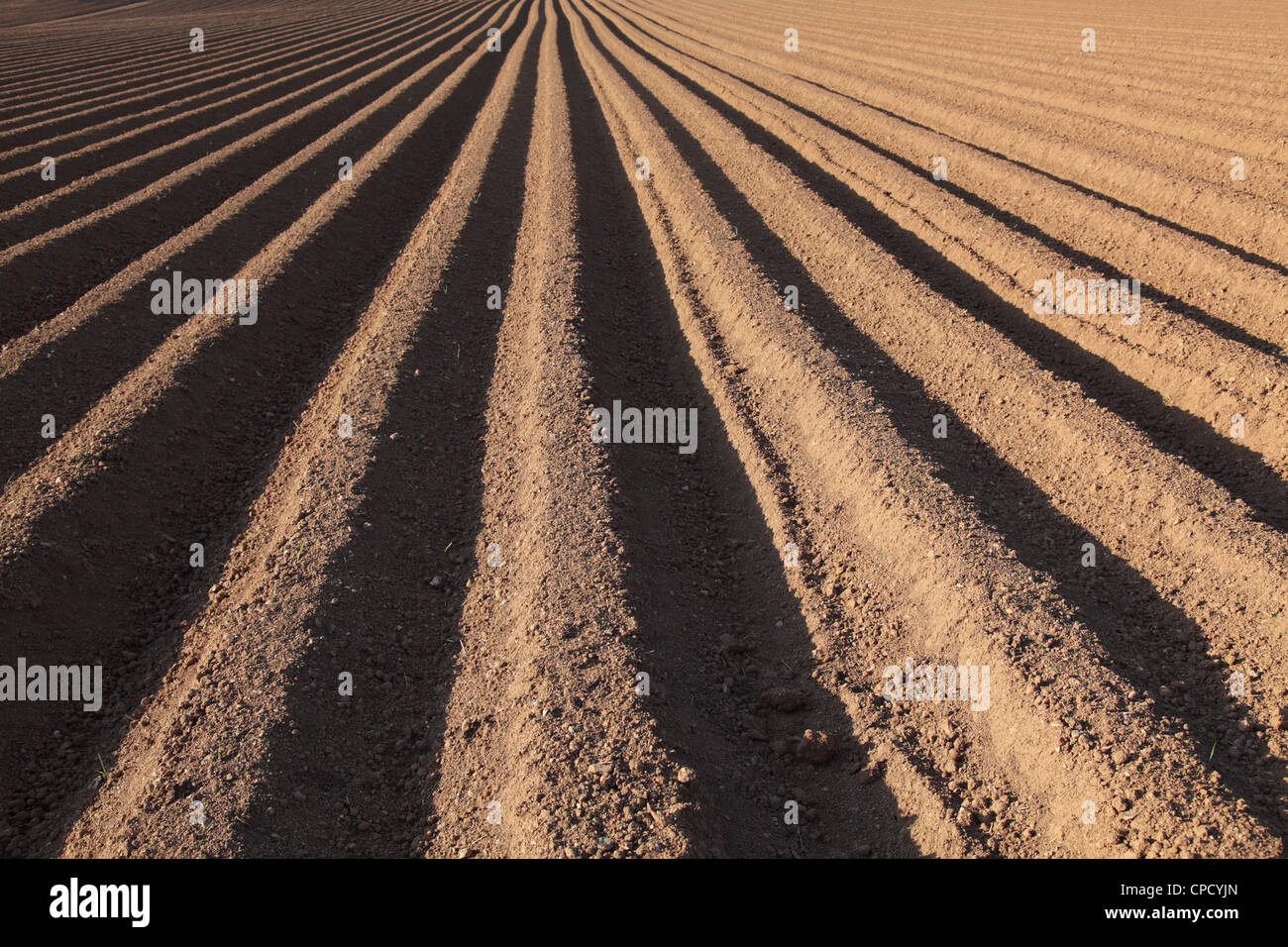 Ploughed field hi-res stock photography and images - Alamy