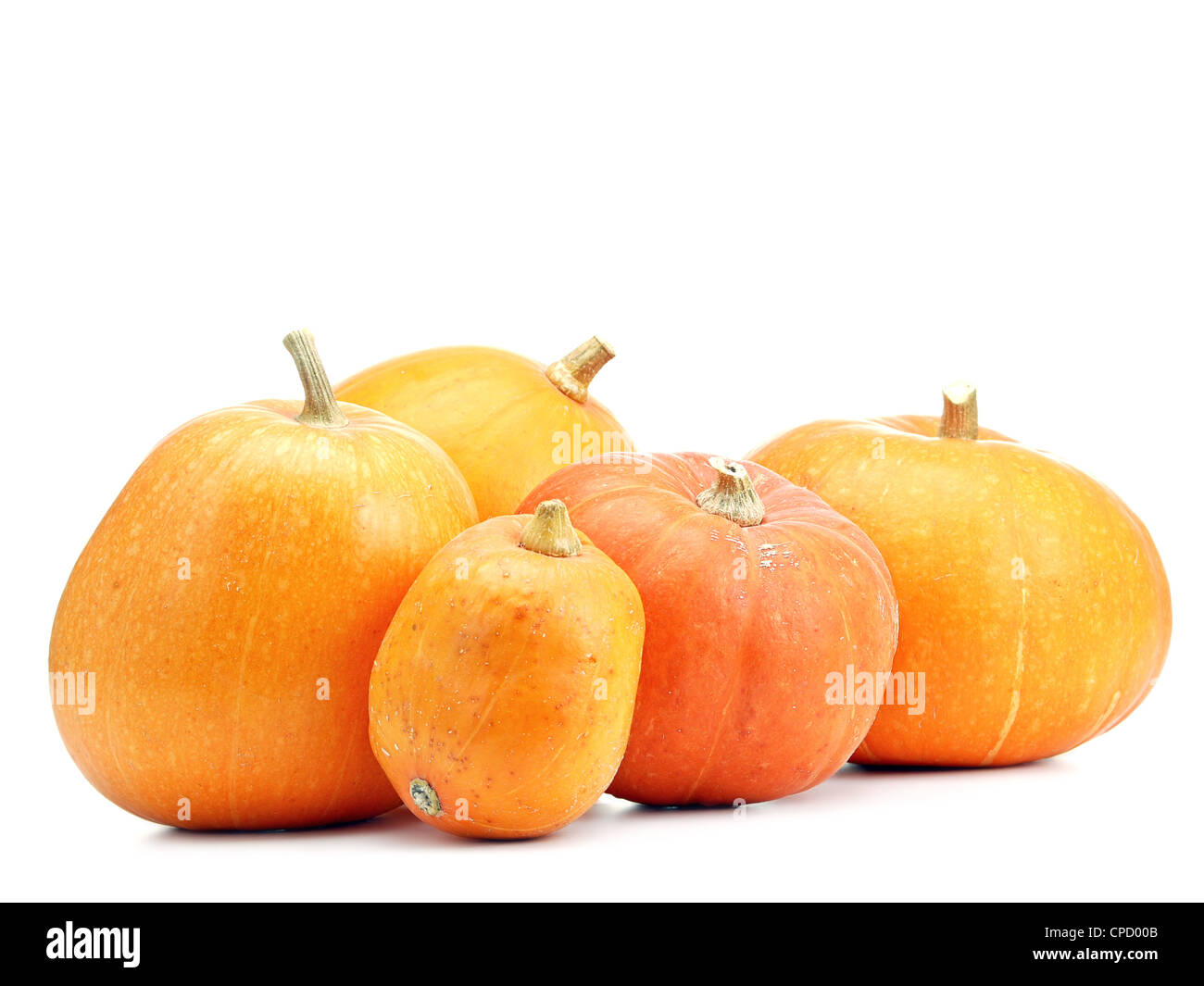 Group of pumpkins shot on white Stock Photo - Alamy