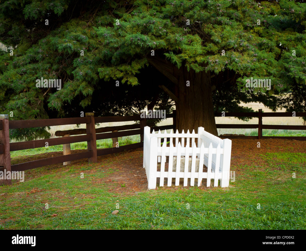 Grave fence hi-res stock photography and images - Alamy