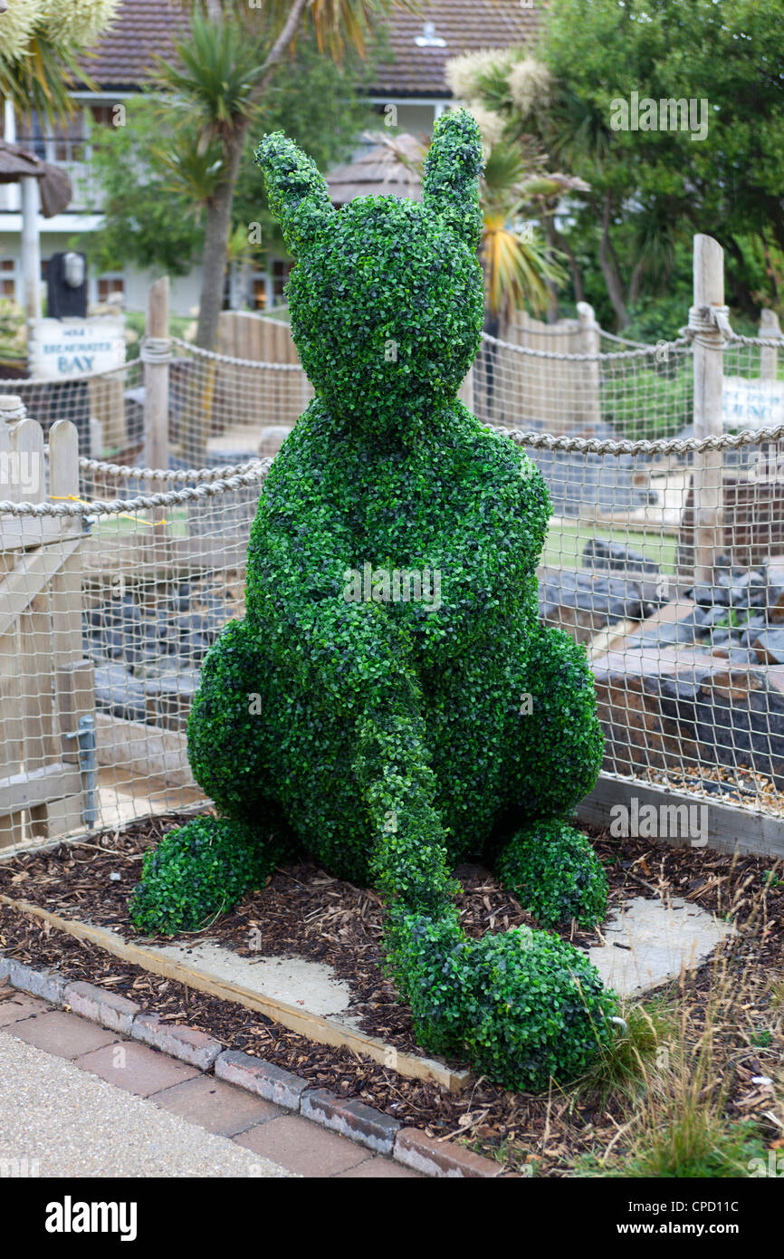 Rabbit bush hi-res stock photography and images - Alamy