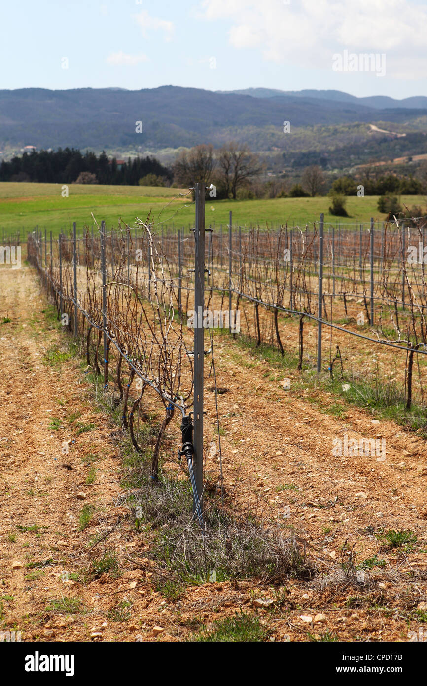 Chalkidiki arnea hi-res stock photography and images - Alamy