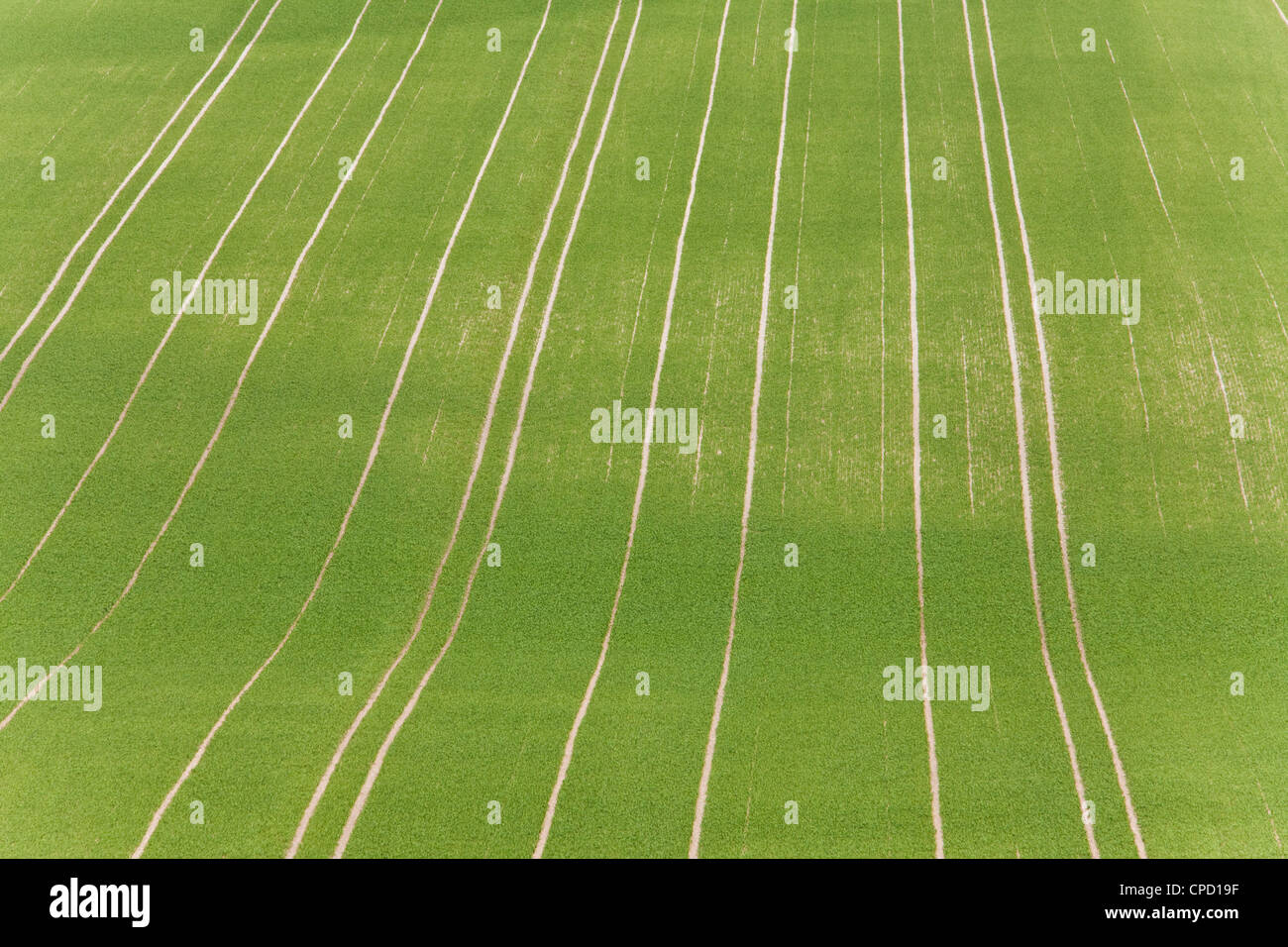 Field of intensive agriculture Stock Photo - Alamy