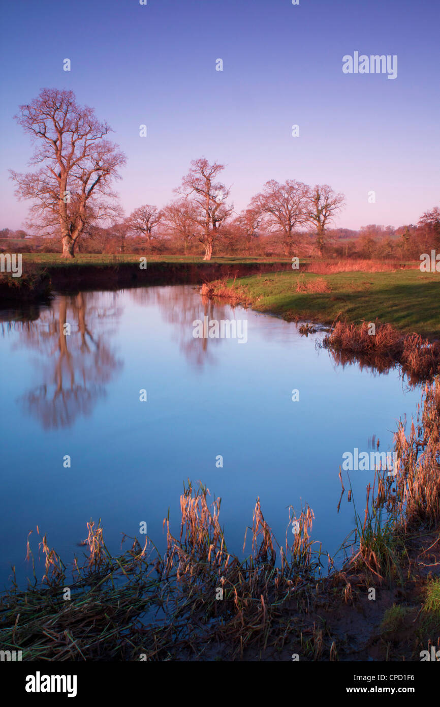 River Culm, near Rewe, Devon, England, United Kingdom, Europe Stock ...
