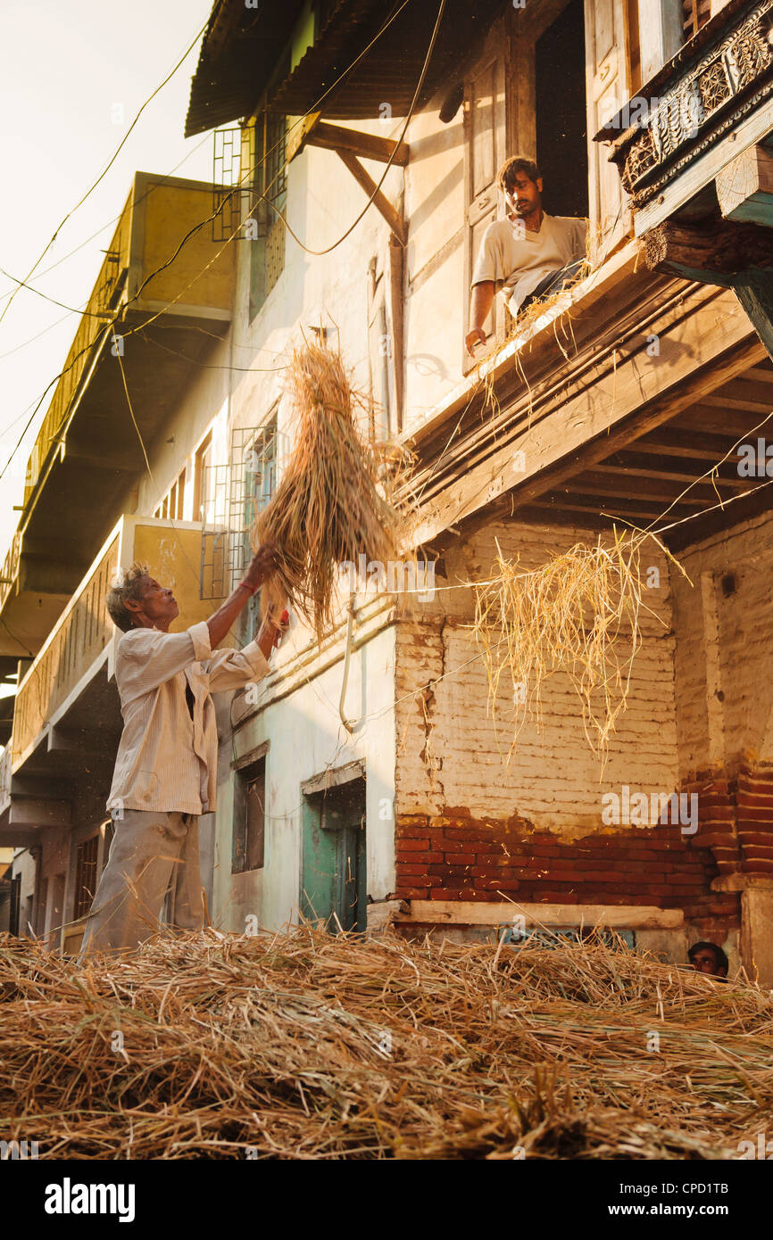 Local farmers store hay in the upper parts of their homes, in the ...