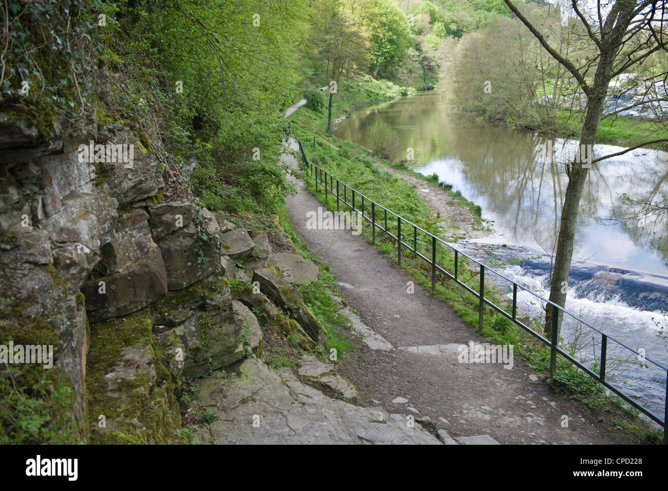 Riverside walk next to the River Teme at Ludlow Shropshire England UK ...