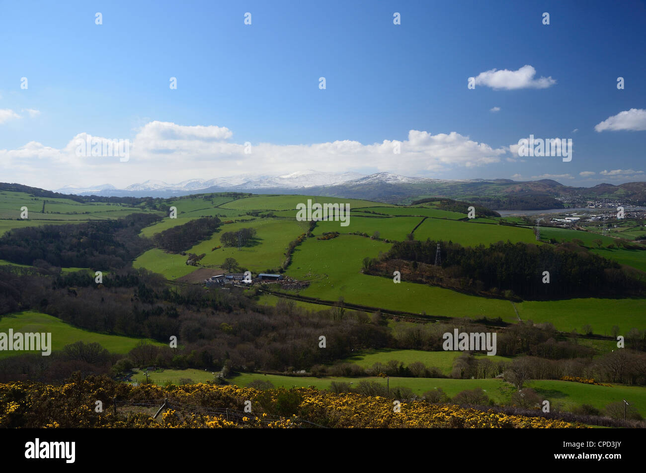Countryside Scene North Wales Stock Photo - Alamy