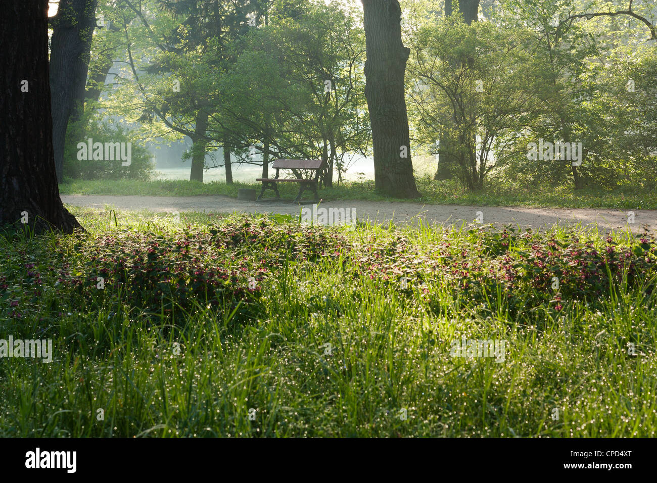 Landscape with bench early in the spring Stock Photo - Alamy