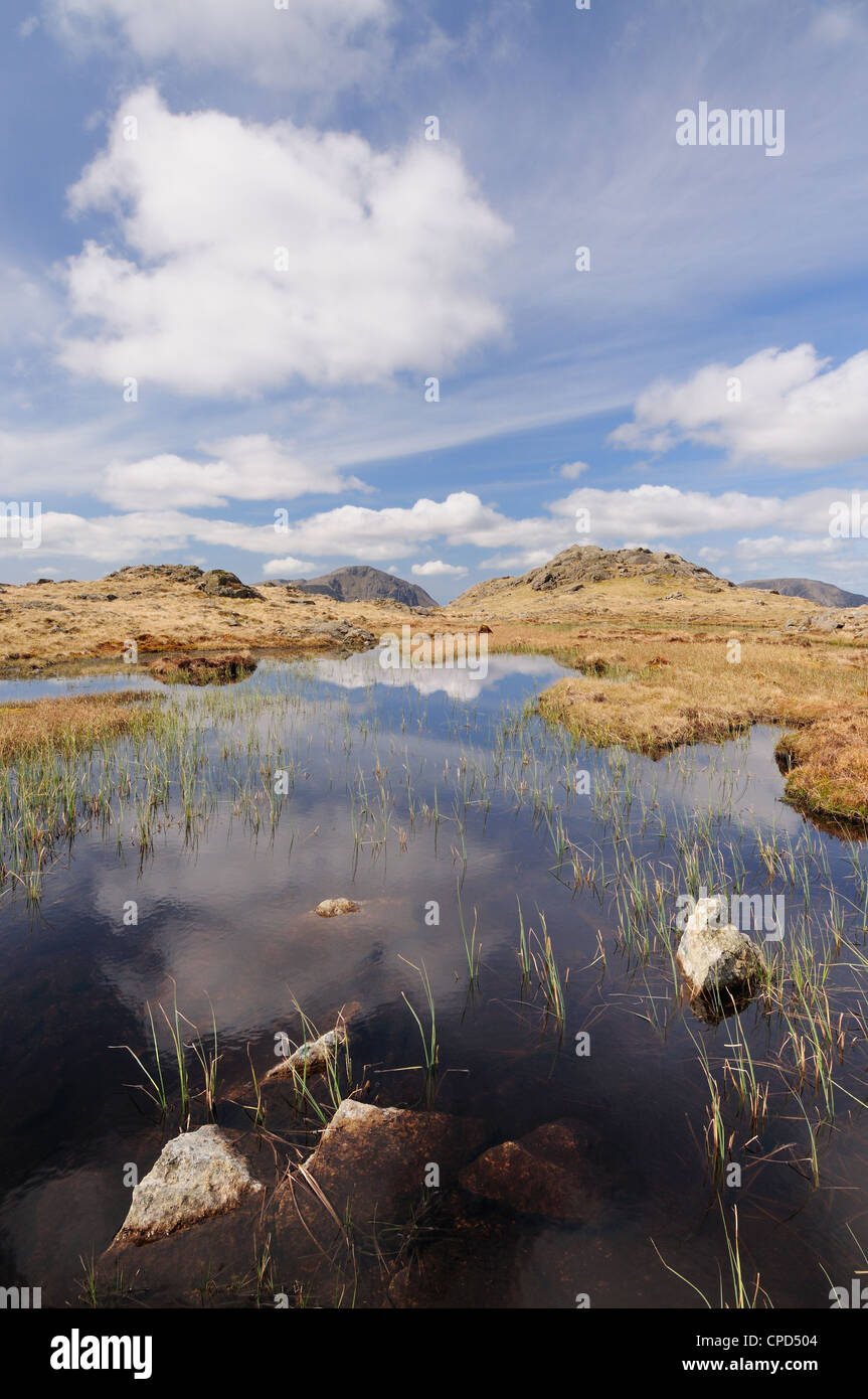 Mountain tarn in the English Lake District Stock Photo - Alamy