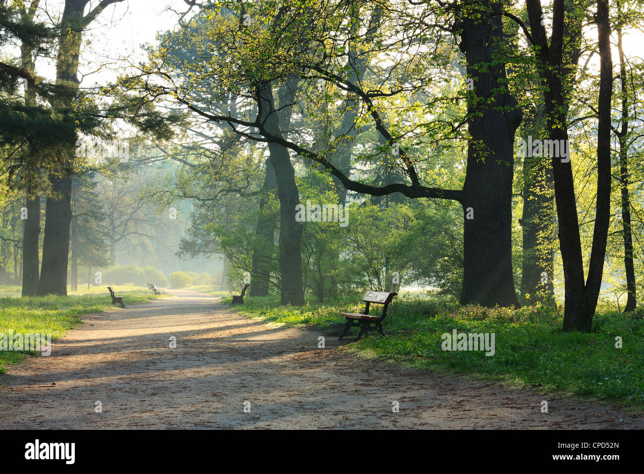 Beautiful landscape in a large city park Stock Photo - Alamy