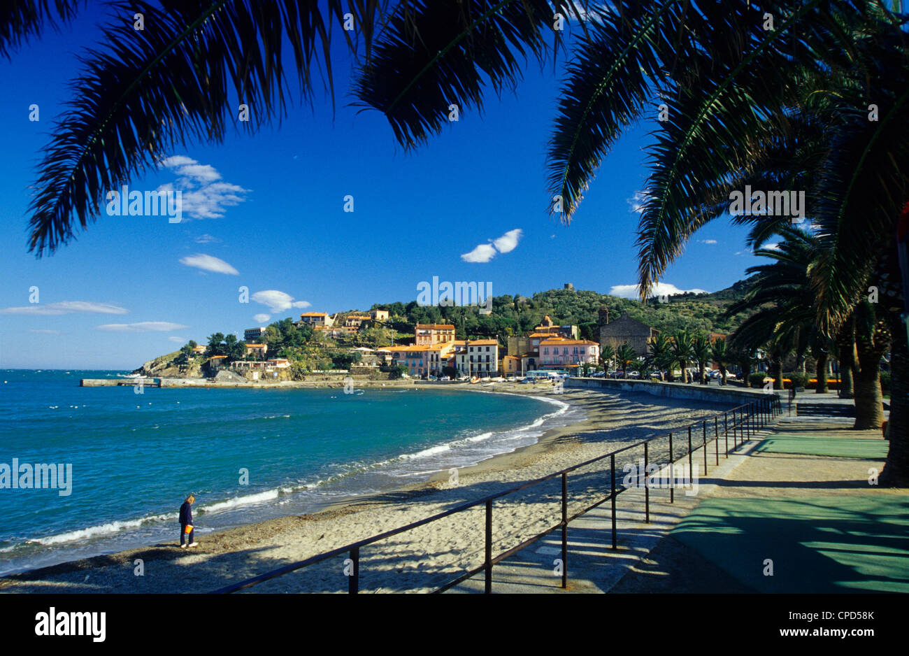 Collioure's beach, Eastern Pyrenees, Languedoc-Roussillon France Stock ...