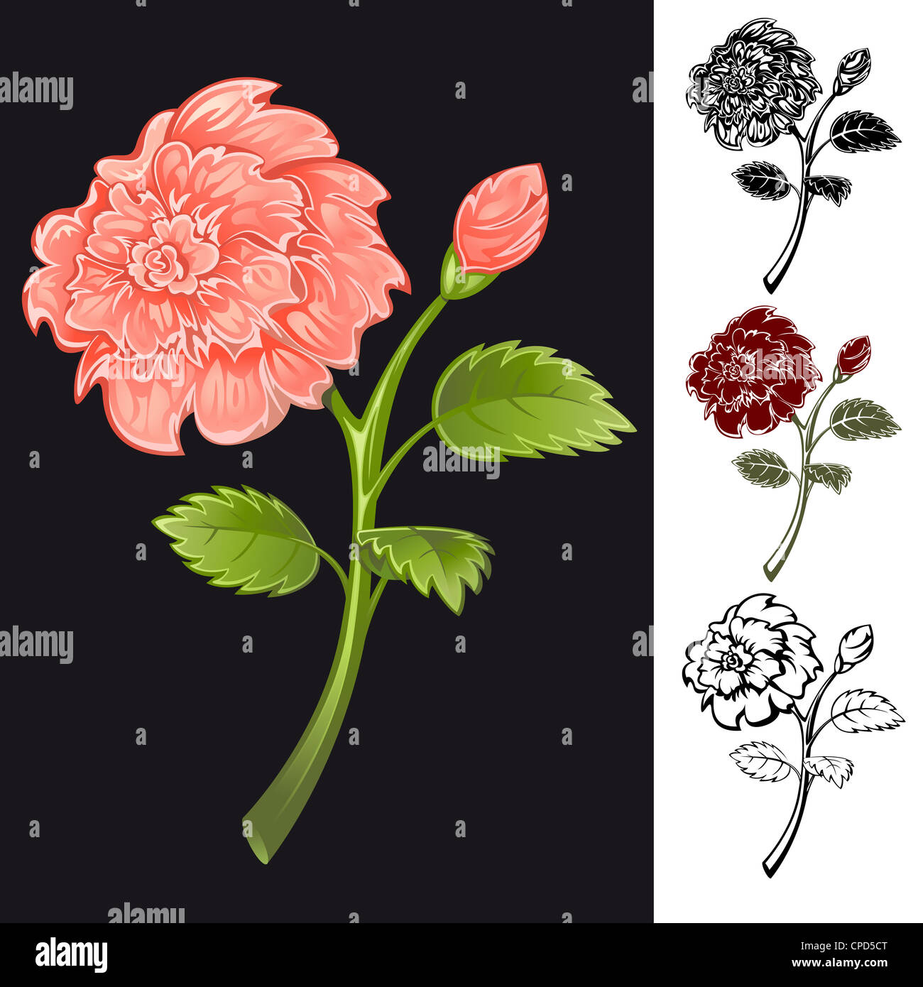 Collection of flowers of different colors Stock Photo - Alamy