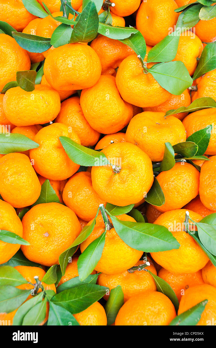 Close up juicy oranges hi-res stock photography and images - Alamy