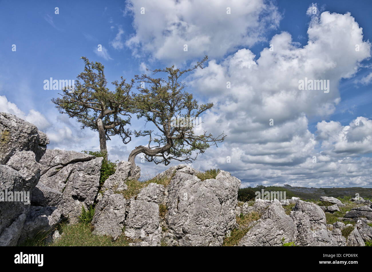 Farleton knott hi-res stock photography and images - Alamy