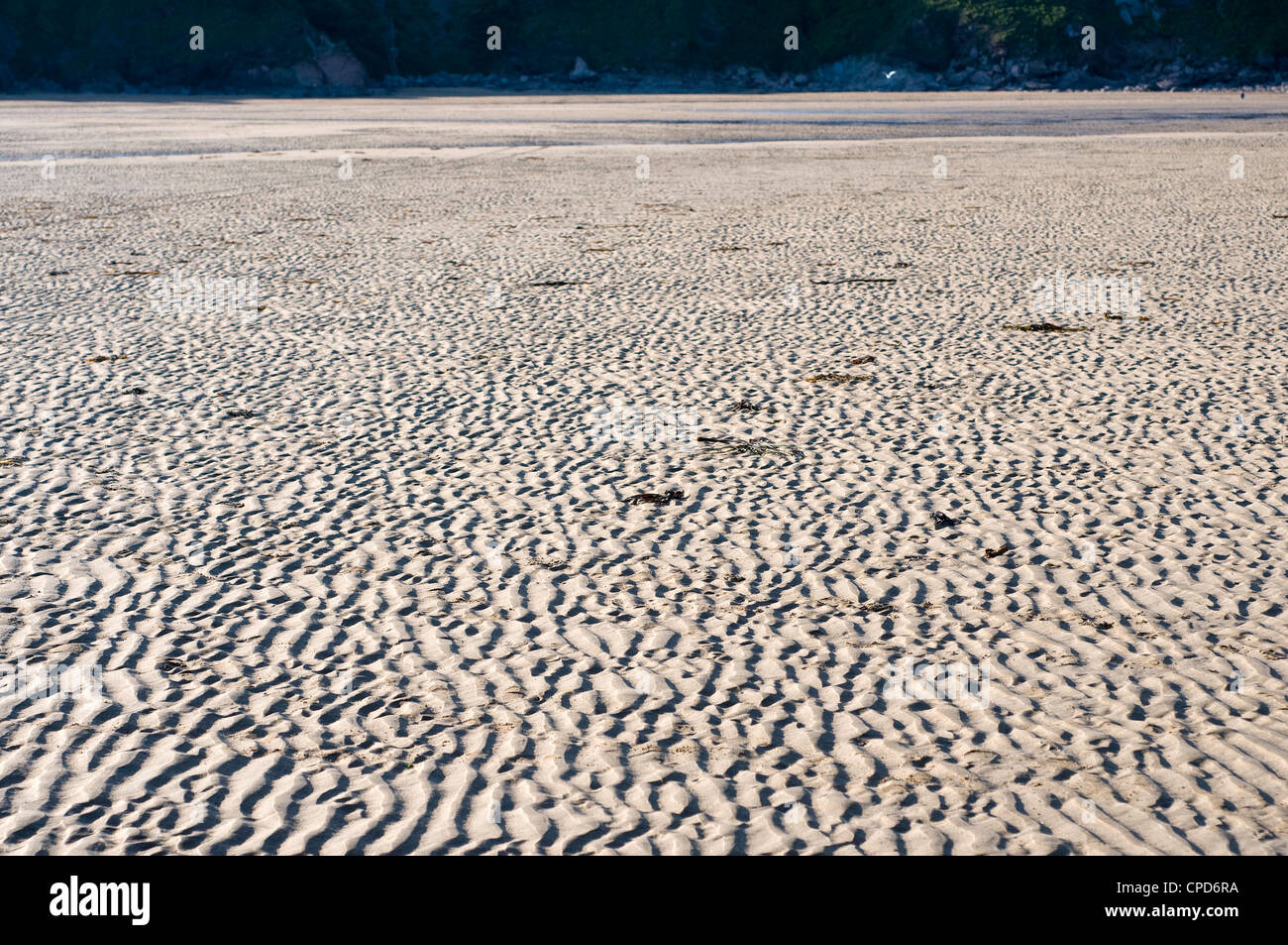 Bantham Bay,South Hams,Devon Stock Photo - Alamy