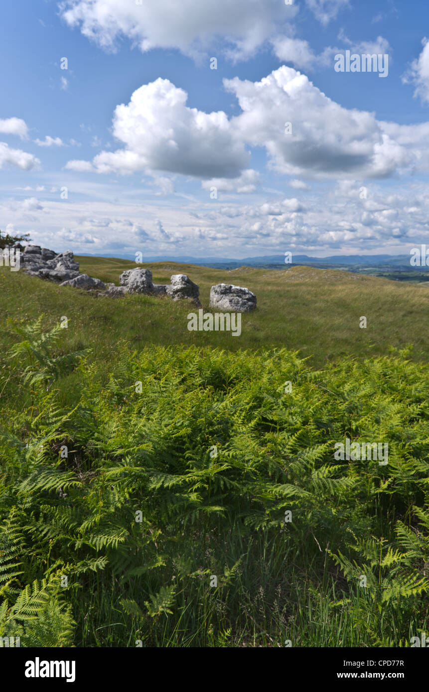 On the top of Farleton Knott Cumbria looking west towards the Lake ...