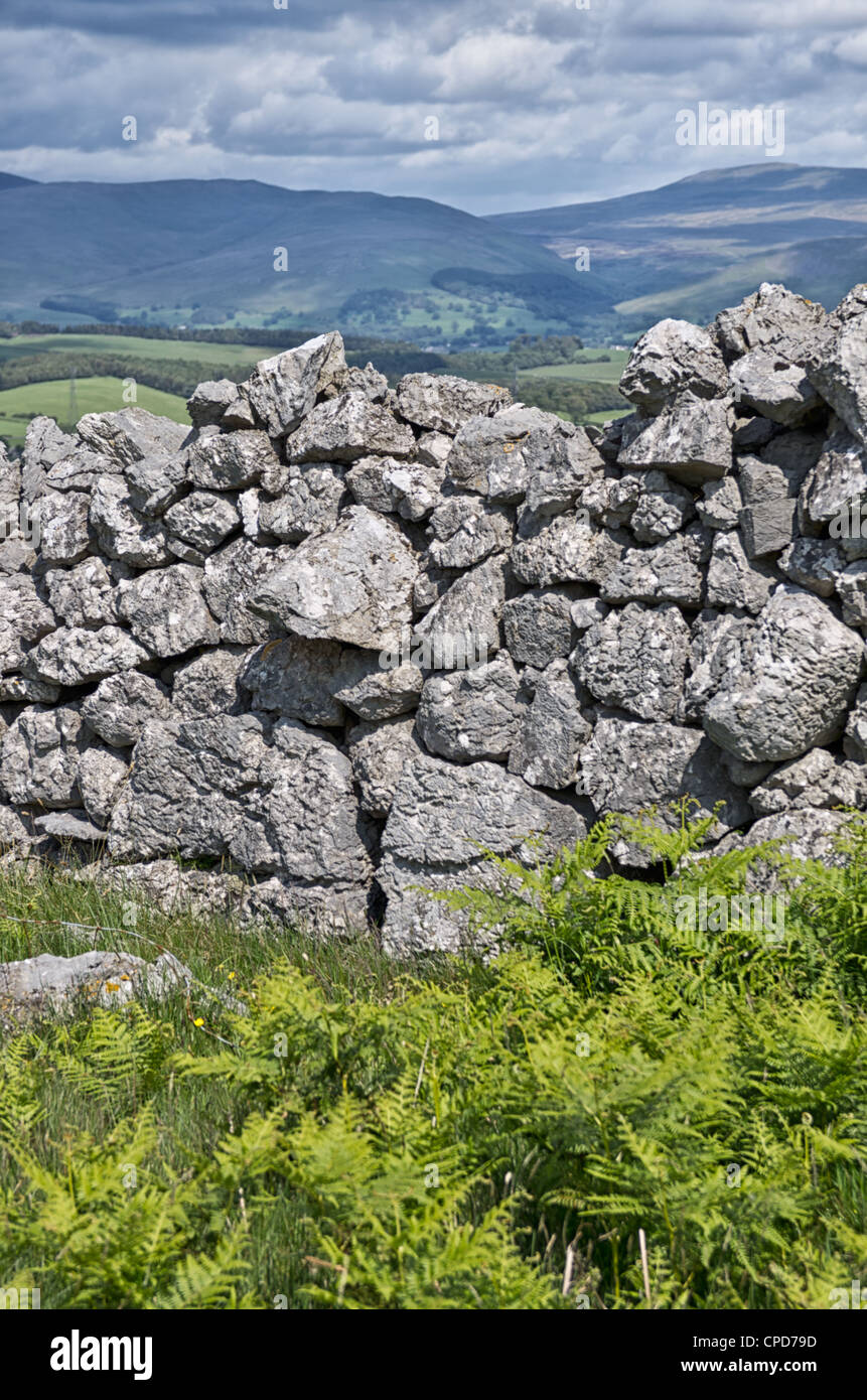 On the top of Farleton Knott Cumbria looking west towards Barbon Fell ...