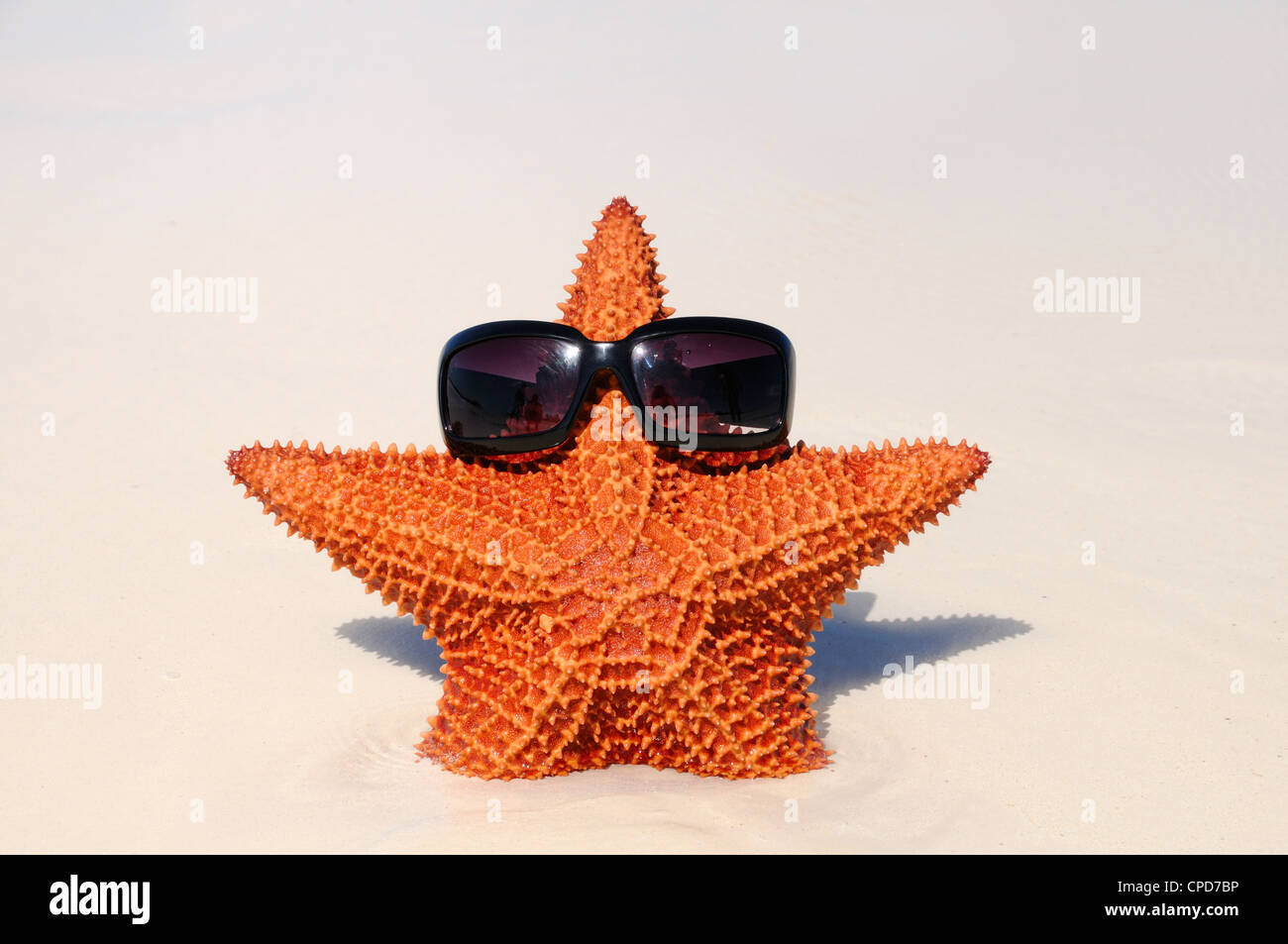 Cool Starfish