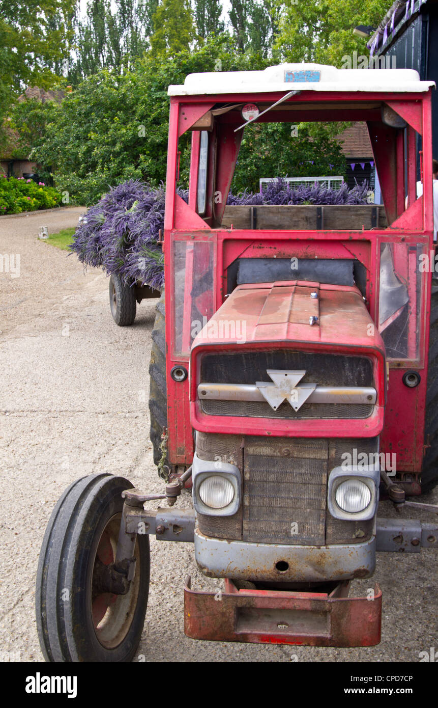 Tractor pulling cart hi-res stock photography and images - Alamy