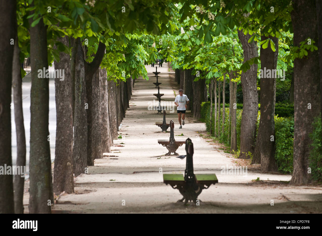 Jogging in the Retiro Park, Madrid, Spain Stock Photo - Alamy