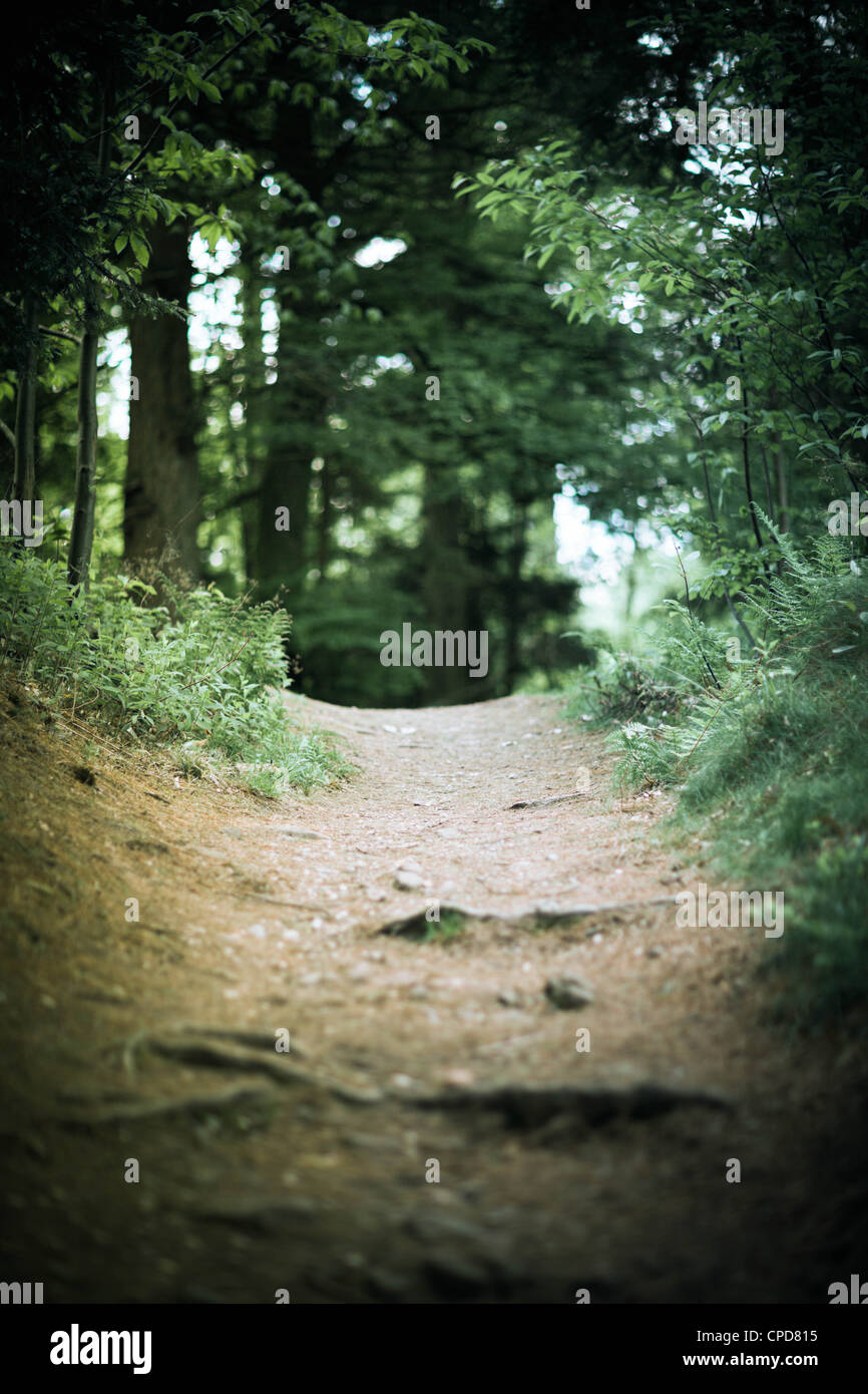 Dark pathway hi-res stock photography and images - Alamy