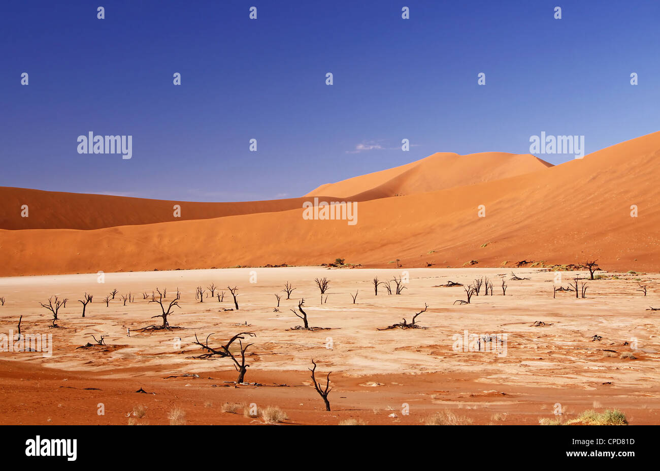 Famous Dead Vlei, Namibia, Namib-desert, landscape Stock Photo - Alamy