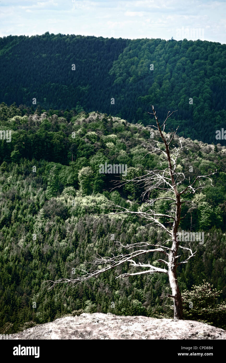 Mountain cliff rock hi-res stock photography and images - Alamy