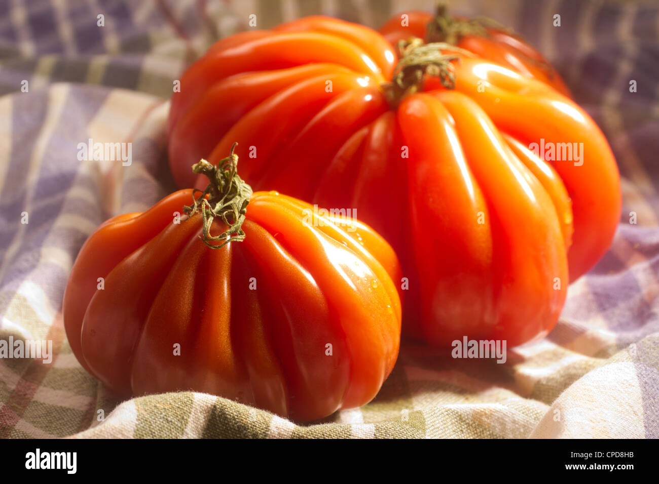 Still life tomatoes tomato hi-res stock photography and images - Alamy
