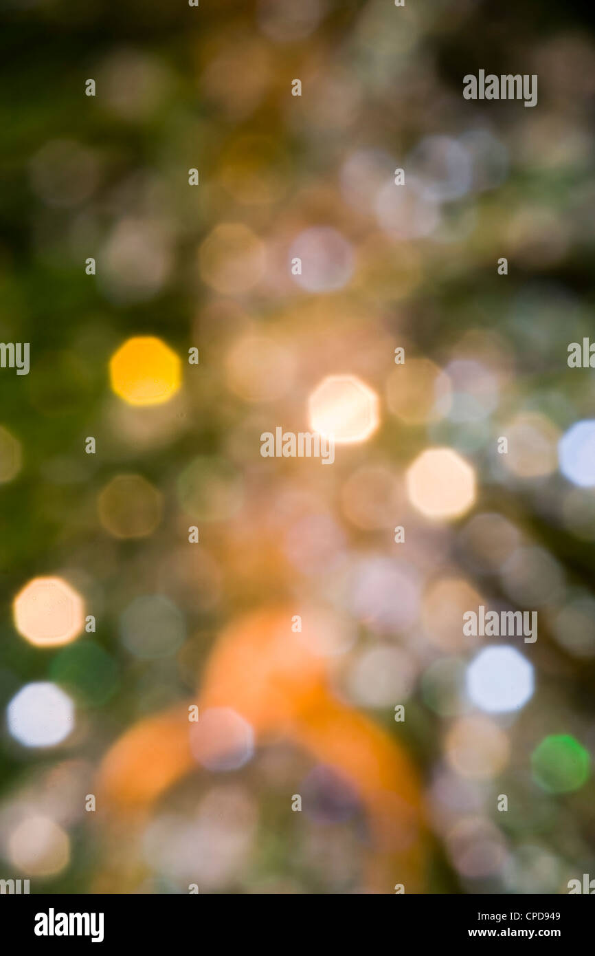christmas lights background (intentional blur effect Stock Photo - Alamy
