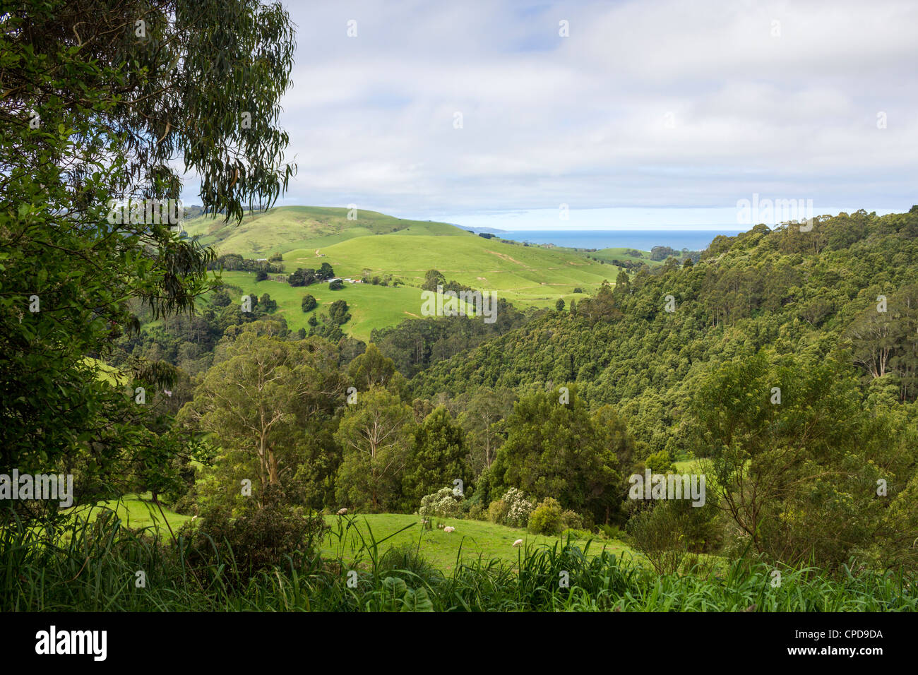 Lorne hi-res stock photography and images - Alamy