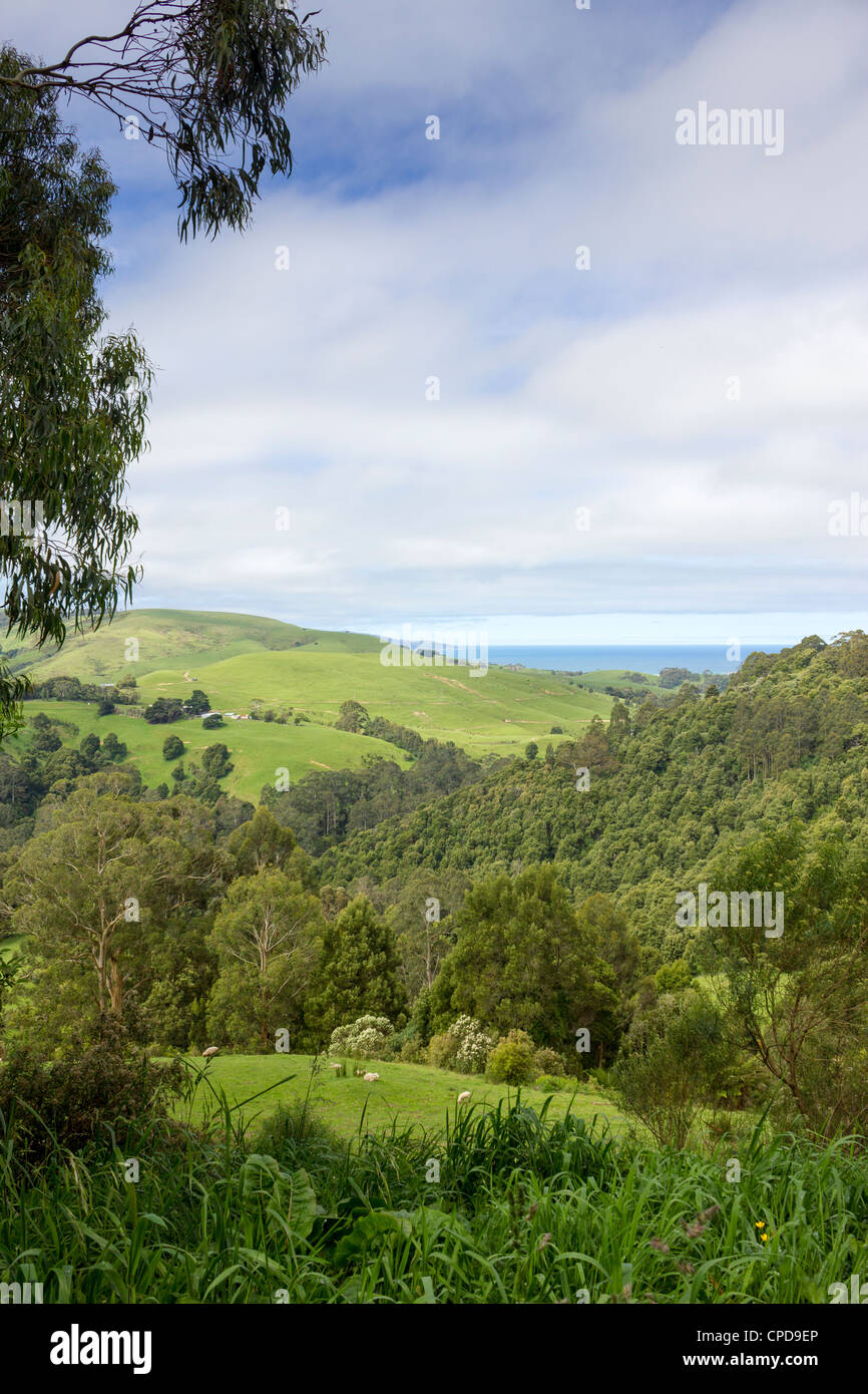 Lorne australia hi-res stock photography and images - Alamy