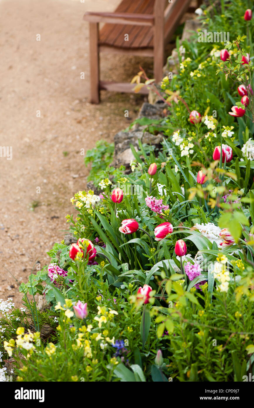 Mixed flower bed in spring at Painswick Rococo Garden, Gloucestershire ...