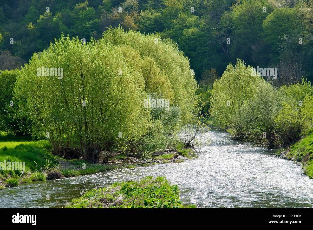 The valley of the river Ahr in Rech in Spring time Stock Photo - Alamy