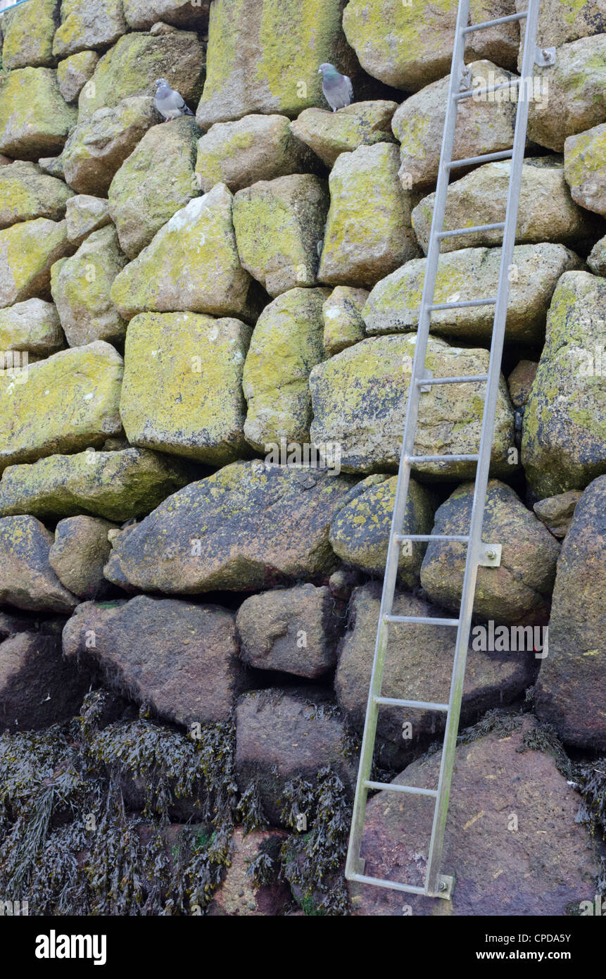 Harbour ladder hi-res stock photography and images - Alamy