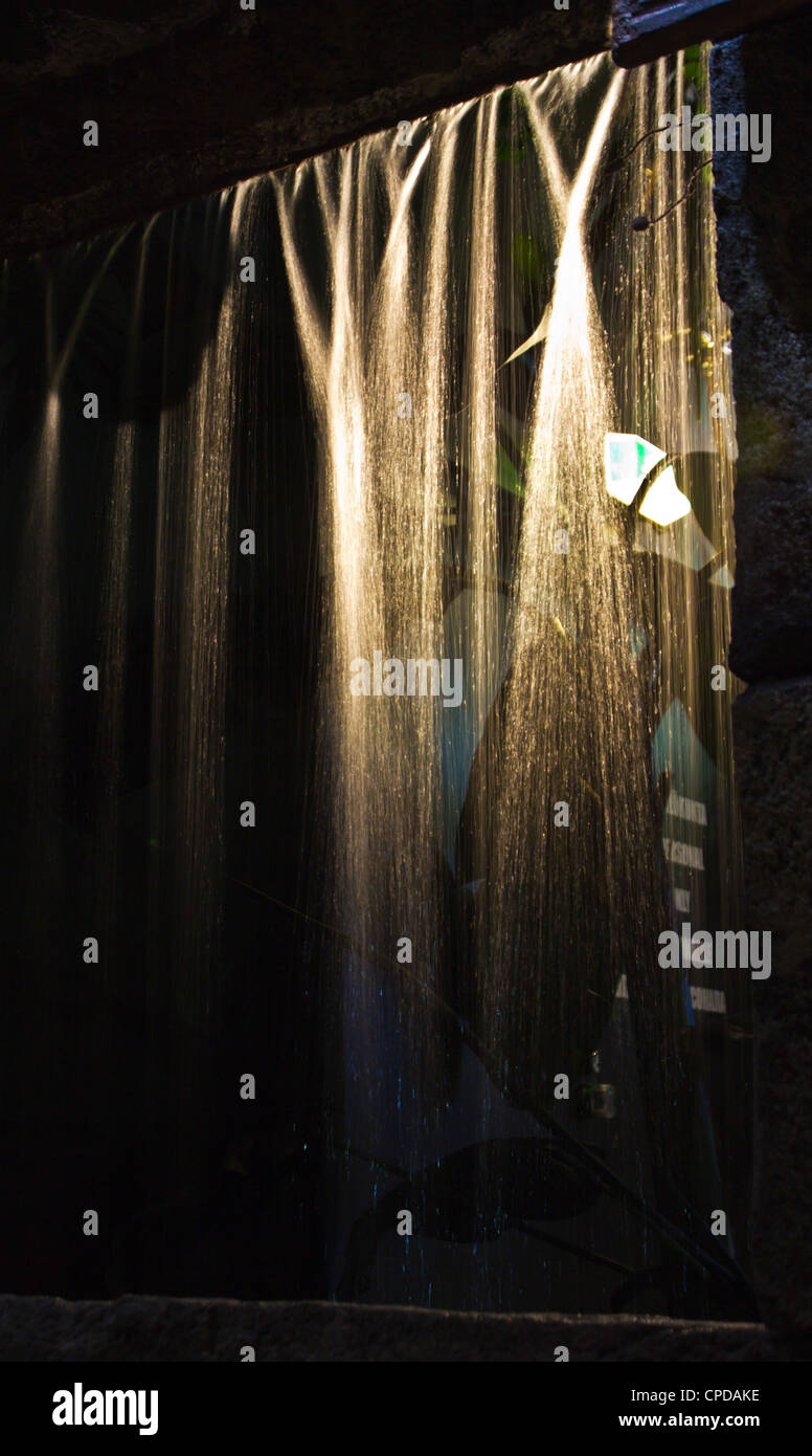 Dark pool of water with plants hi-res stock photography and images - Alamy