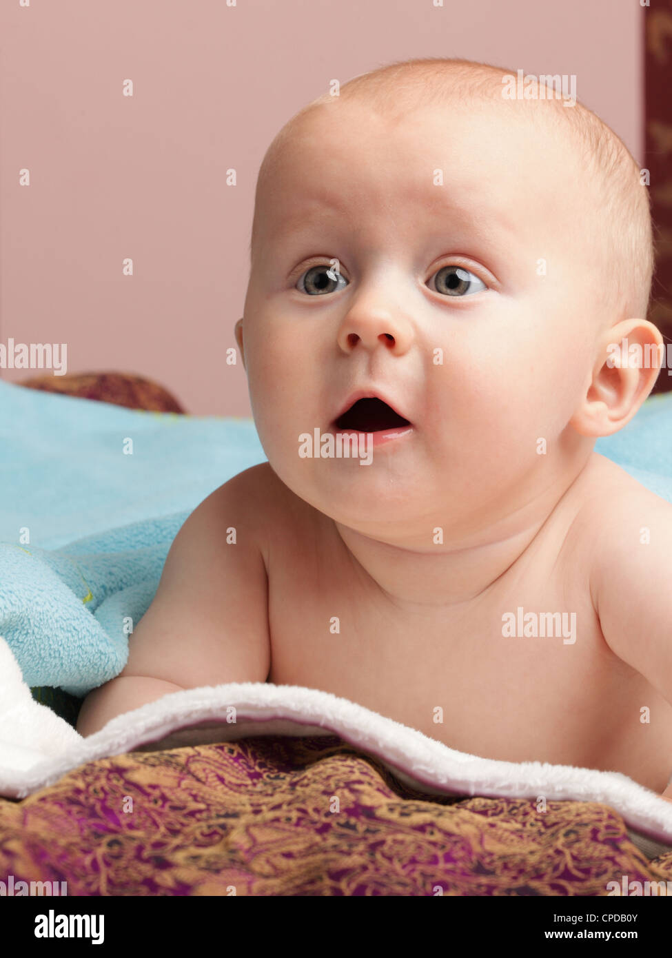 portrait of 6 months male child baby boy in blue eye Stock Photo - Alamy
