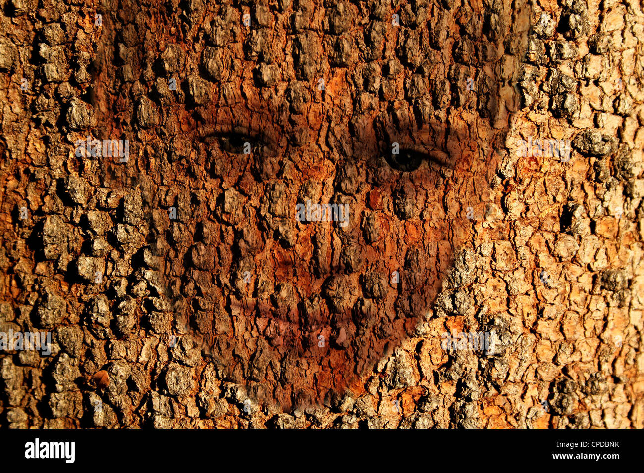 Tree face concept image hi-res stock photography and images - Alamy