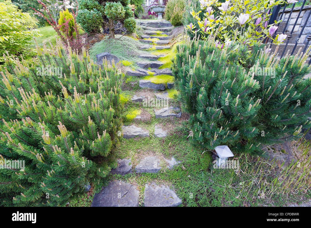 Garden stone steps hi-res stock photography and images - Alamy