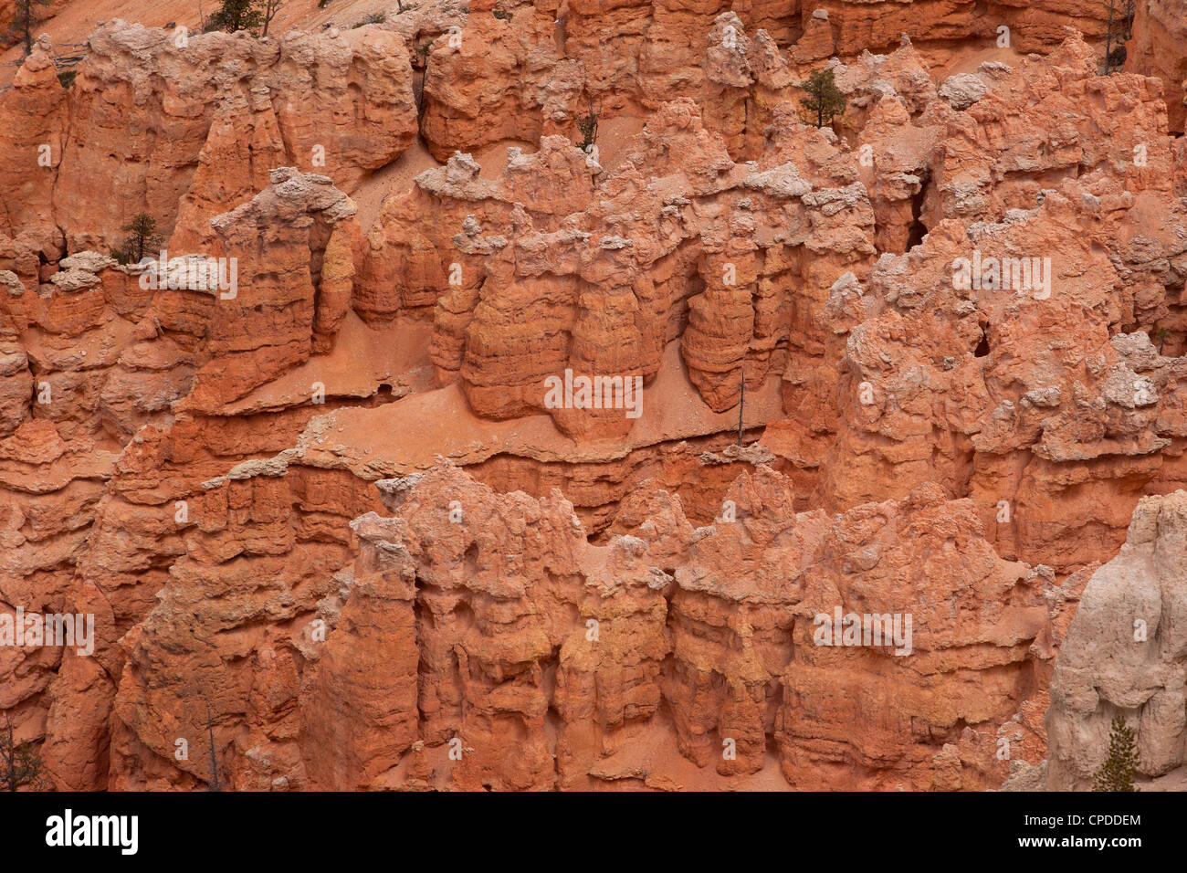 Bryce Canyon National Park in southern Utah. Rugged and dramatic red ...